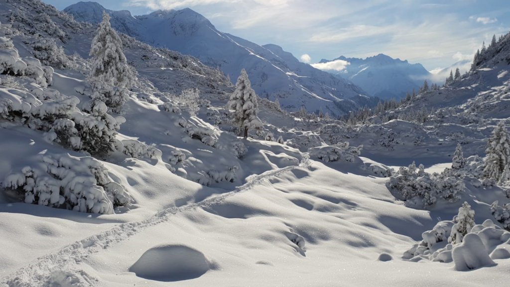 Winter- & Schneeschuhwandern im Lechtal - Lechquell Hotel Post